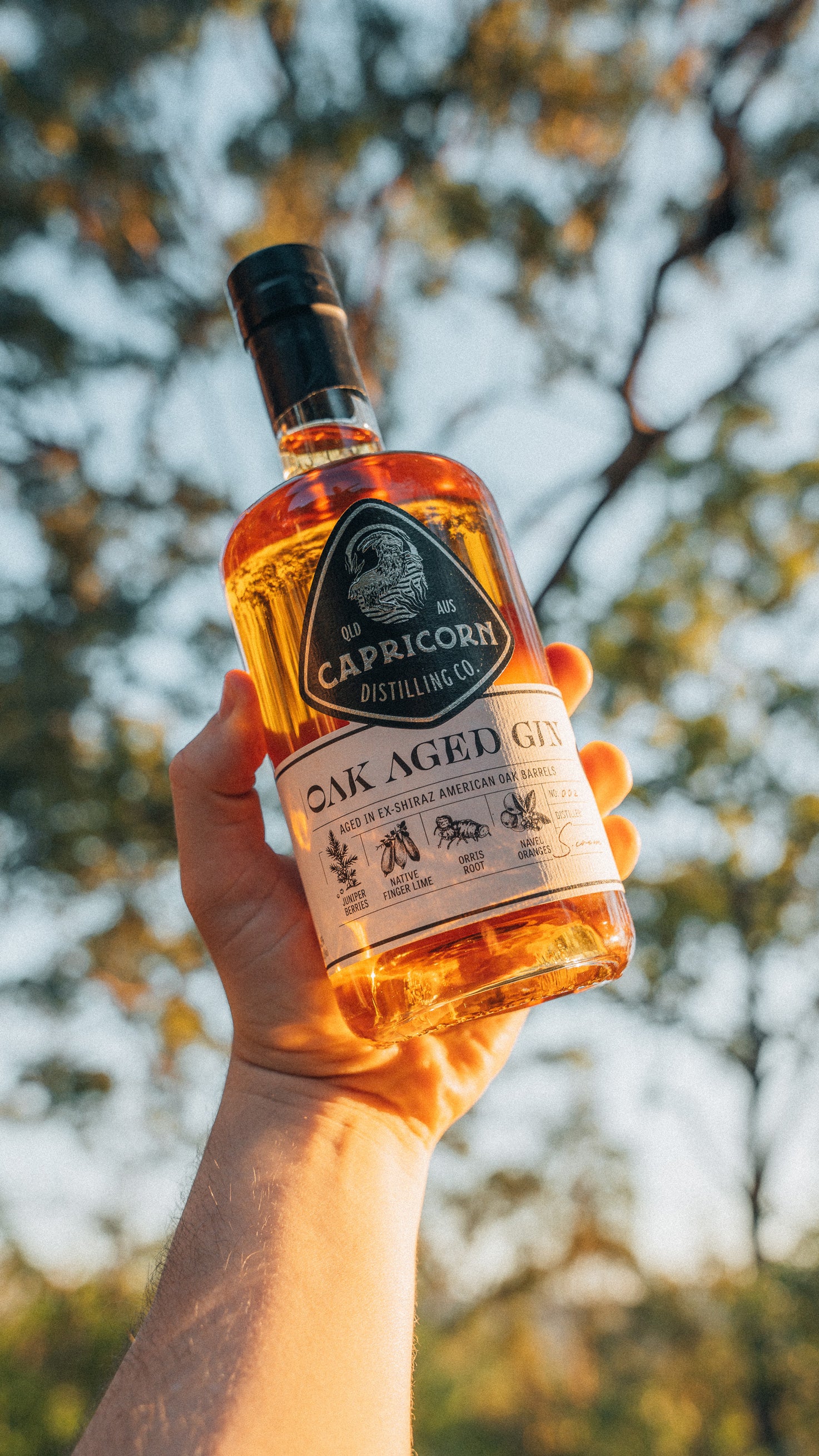 Oak Aged Gin Cocktails for 2024 – Capricorn Distilling Co